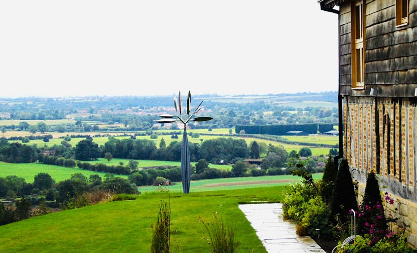 Olive Leaf | David Watkinson Sculpture